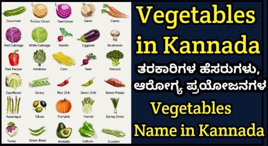 ತರಕಾರಿಗಳ ಹೆಸರು | Vegetables in Kannada