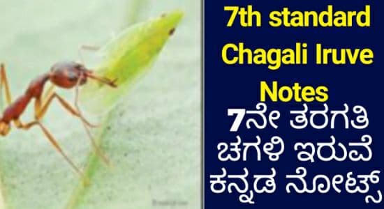 7ನೇ ತರಗತಿ ಚಗಳಿ ಇರುವೆ ಕನ್ನಡ ನೋಟ್ಸ್‌ | Chagali Iruve Kannada Notes