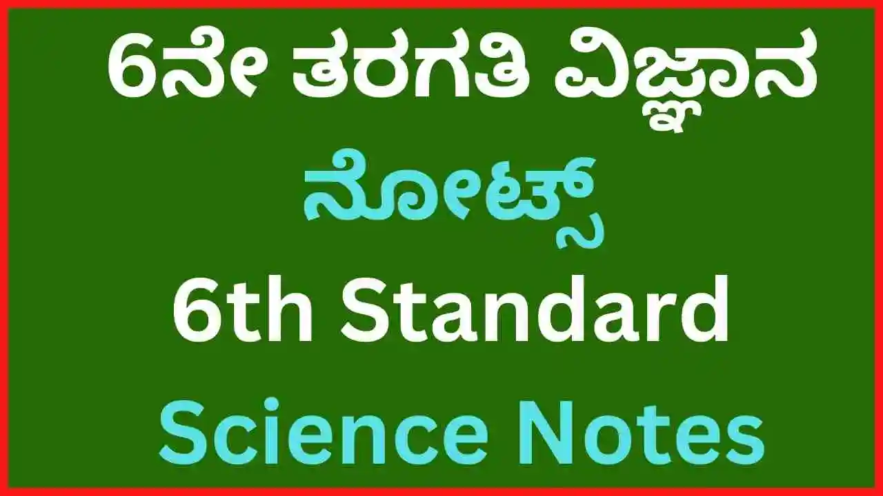 6 6th Standard Science Notes 2024