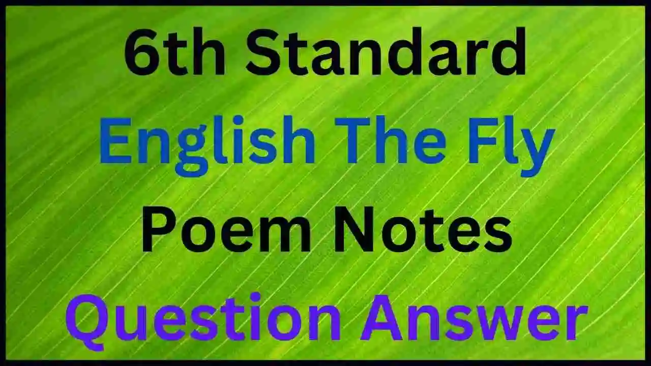 6th Standard English The Fly Poem Notes Question Answer 2024