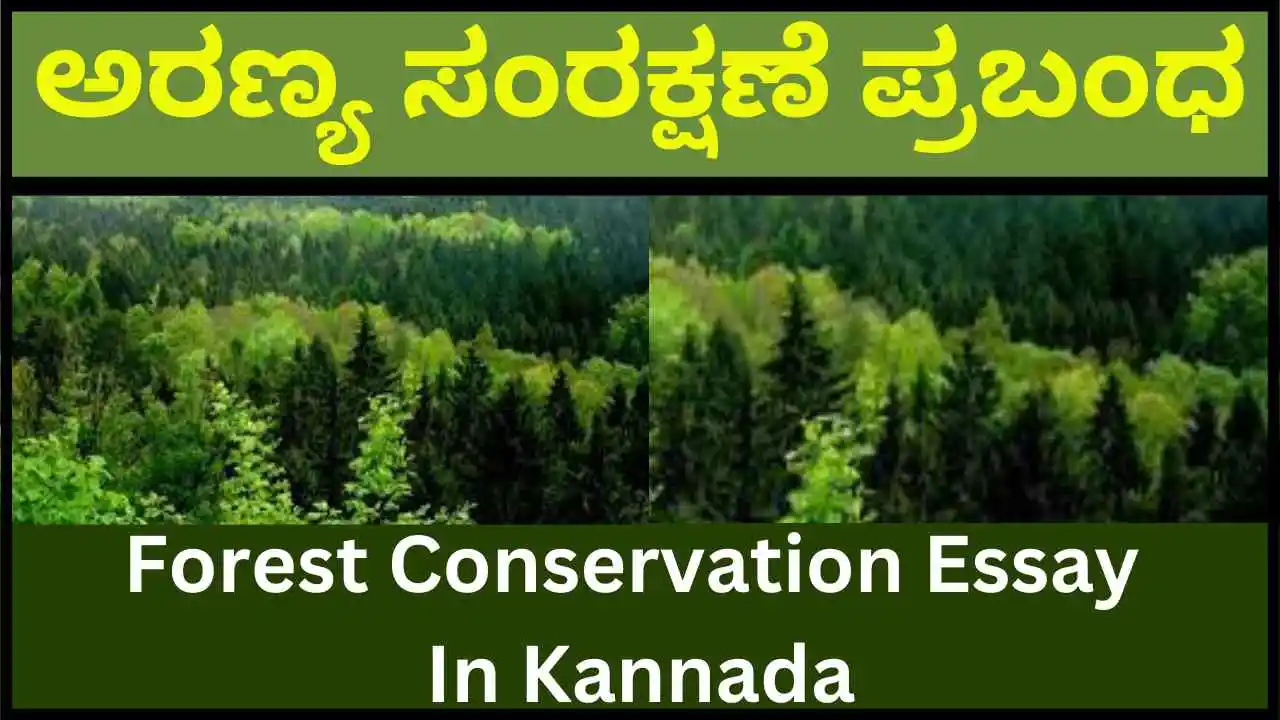ಅರಣ್ಯ ಸಂರಕ್ಷಣೆ ಪ್ರಬಂಧ | Forest Conservation Essay In Kannada